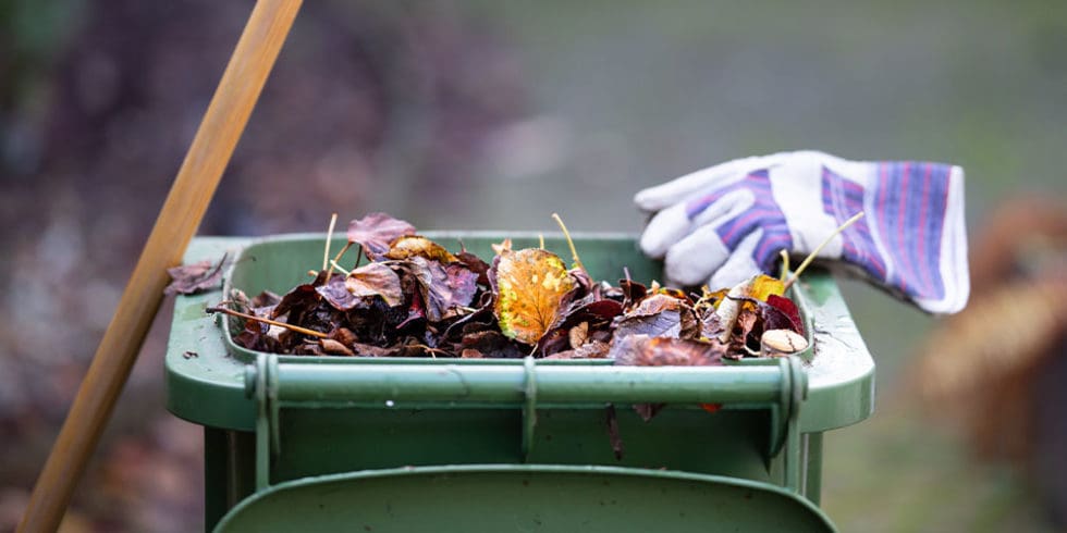 Your Beginner's Guide to Compost | Pine Hills Nursery | Blog