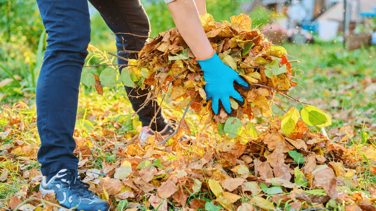 Your Fall Garden Clean-up Guide! | Pine Hills Nursery | Blog